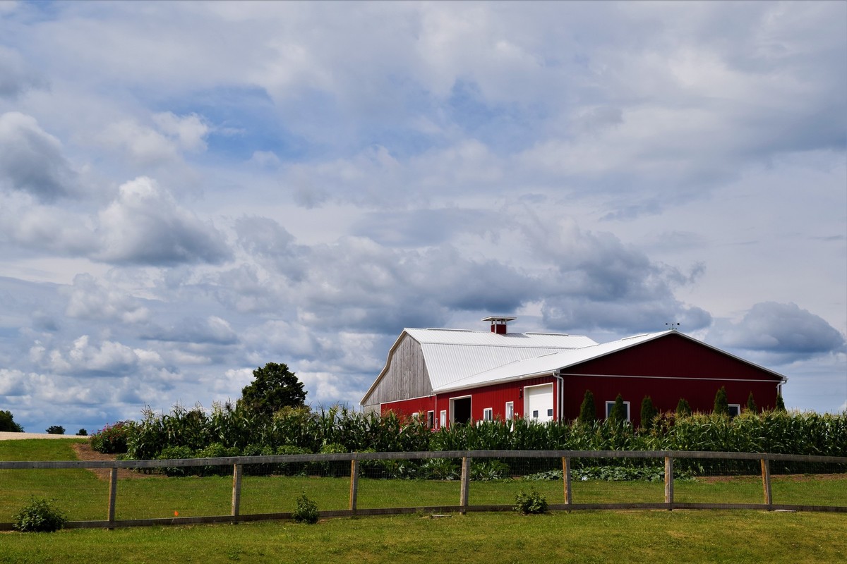 On-Farm Business Policy Review | Grey County