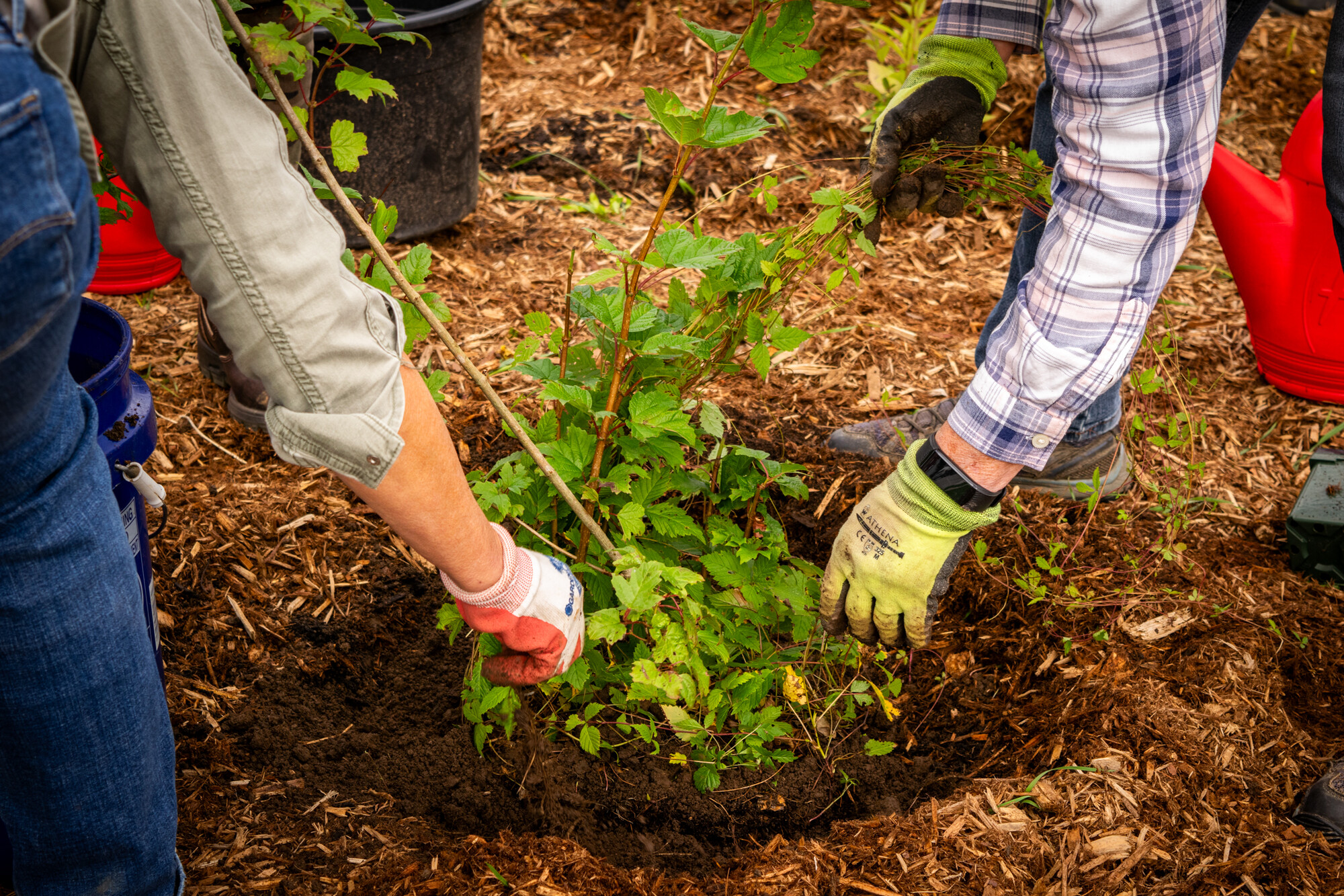 Get Involved in Climate Action | Grey County